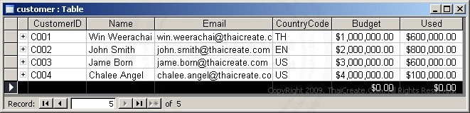 Asp Microsoft Access Delete Record