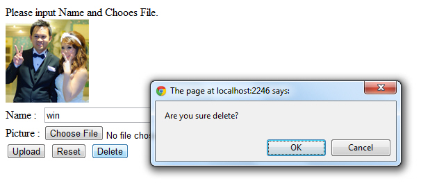 Aspnet Sql Server Blob Binary Data And Parameterized Query